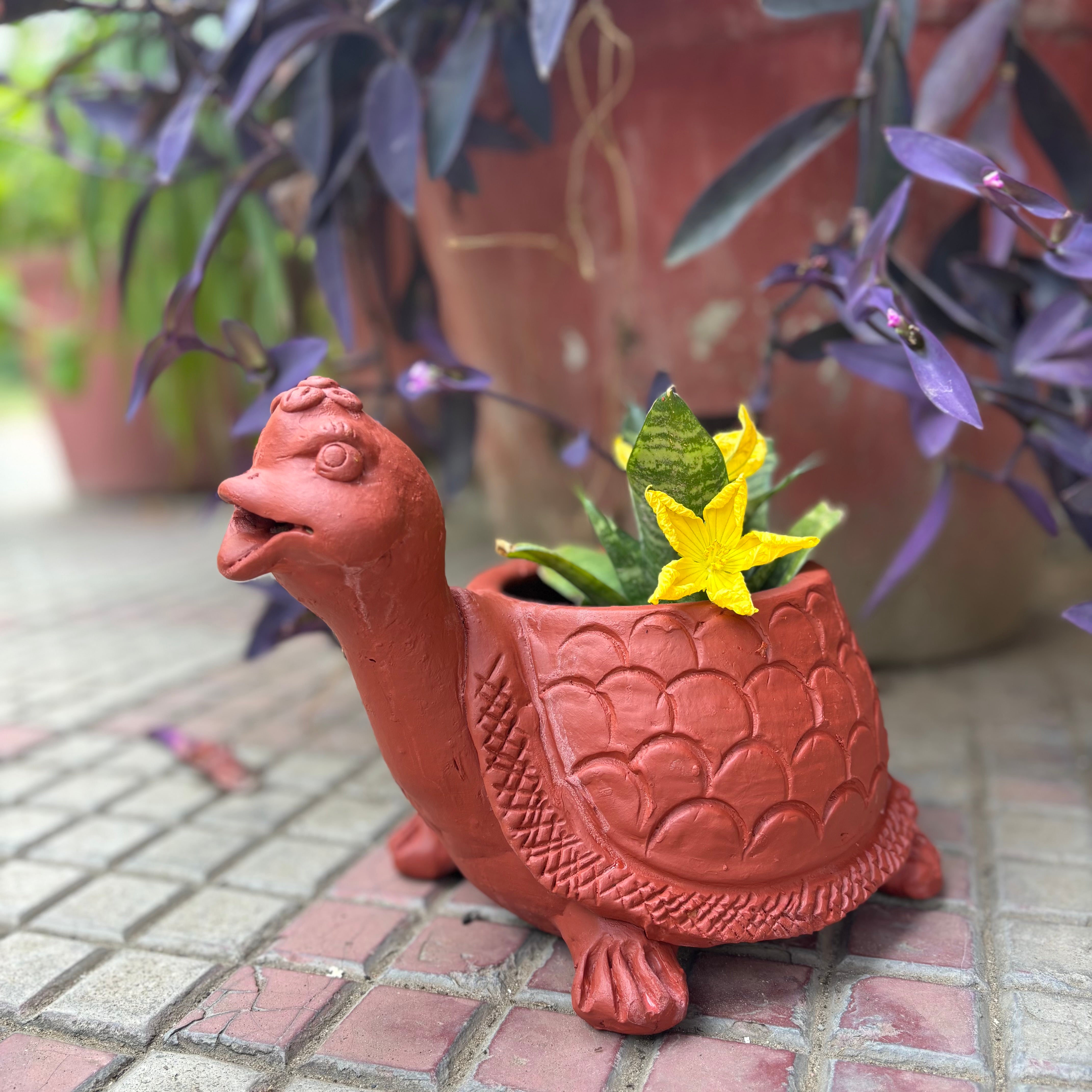 Handmade Terracotta Tortoise Planter – Prosperitymirra